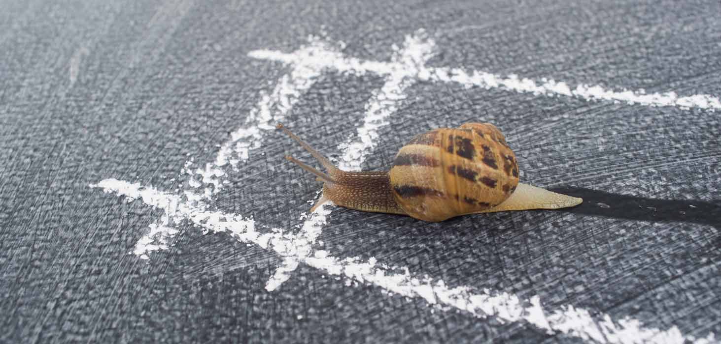 4 razones por las que ir despacio te hará MÁS EXITOSO