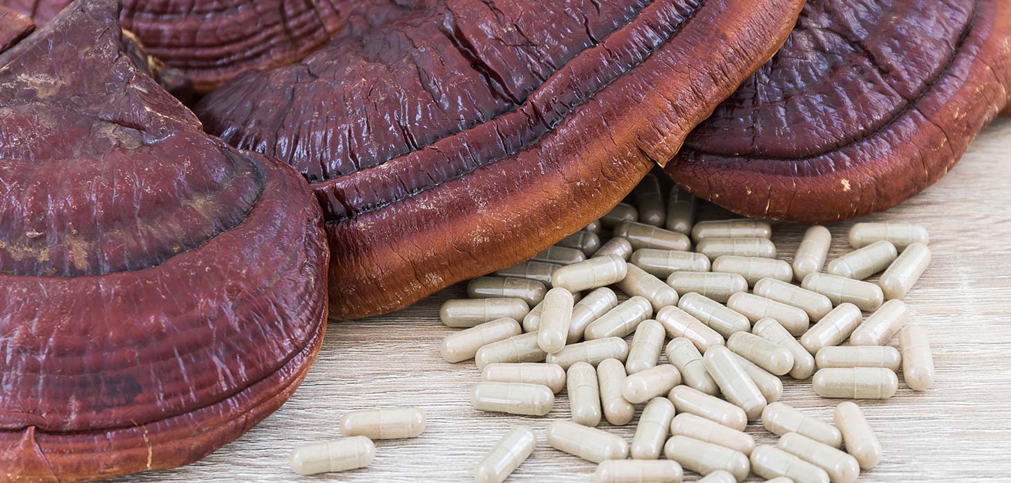 ¿El GANODERMA tiene el potencial para curar el CÁNCER?