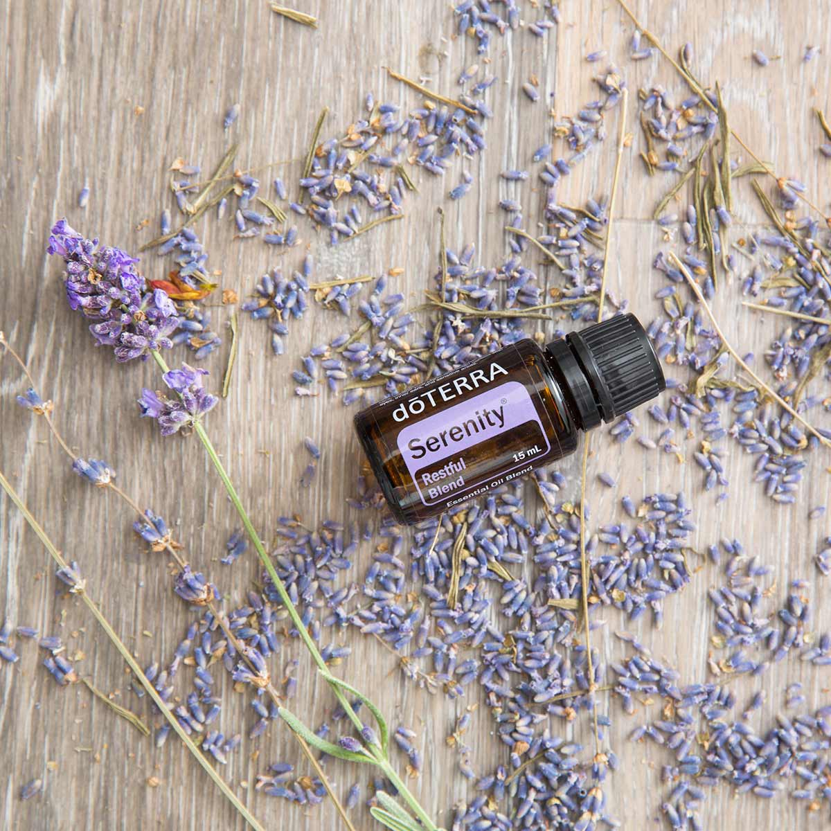 ¿Qué es doTERRA y cómo funciona? » Análisis 2023