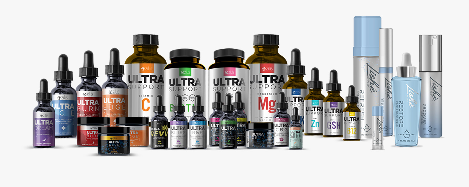 ¿Qué es ZILIS y cómo funciona? » Guía completa 2023