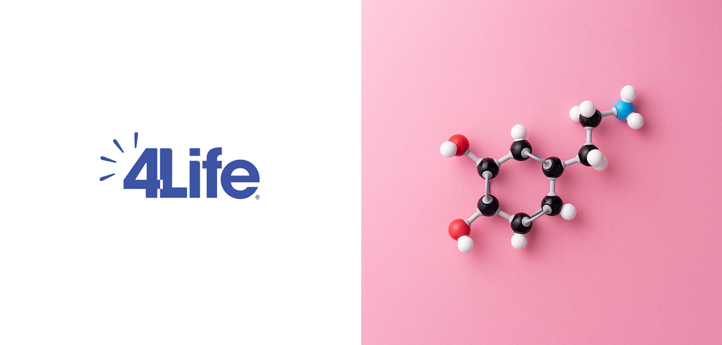 5 CONSEJOS de 4Life para apoyar el funcionamiento correcto de tu ...