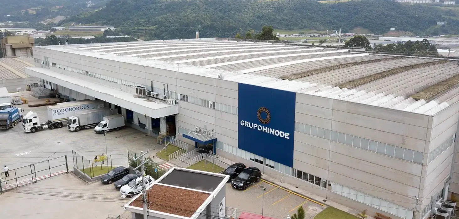 ¿Qué es el Grupo HINODE y cómo funciona? » Guía completa 2025