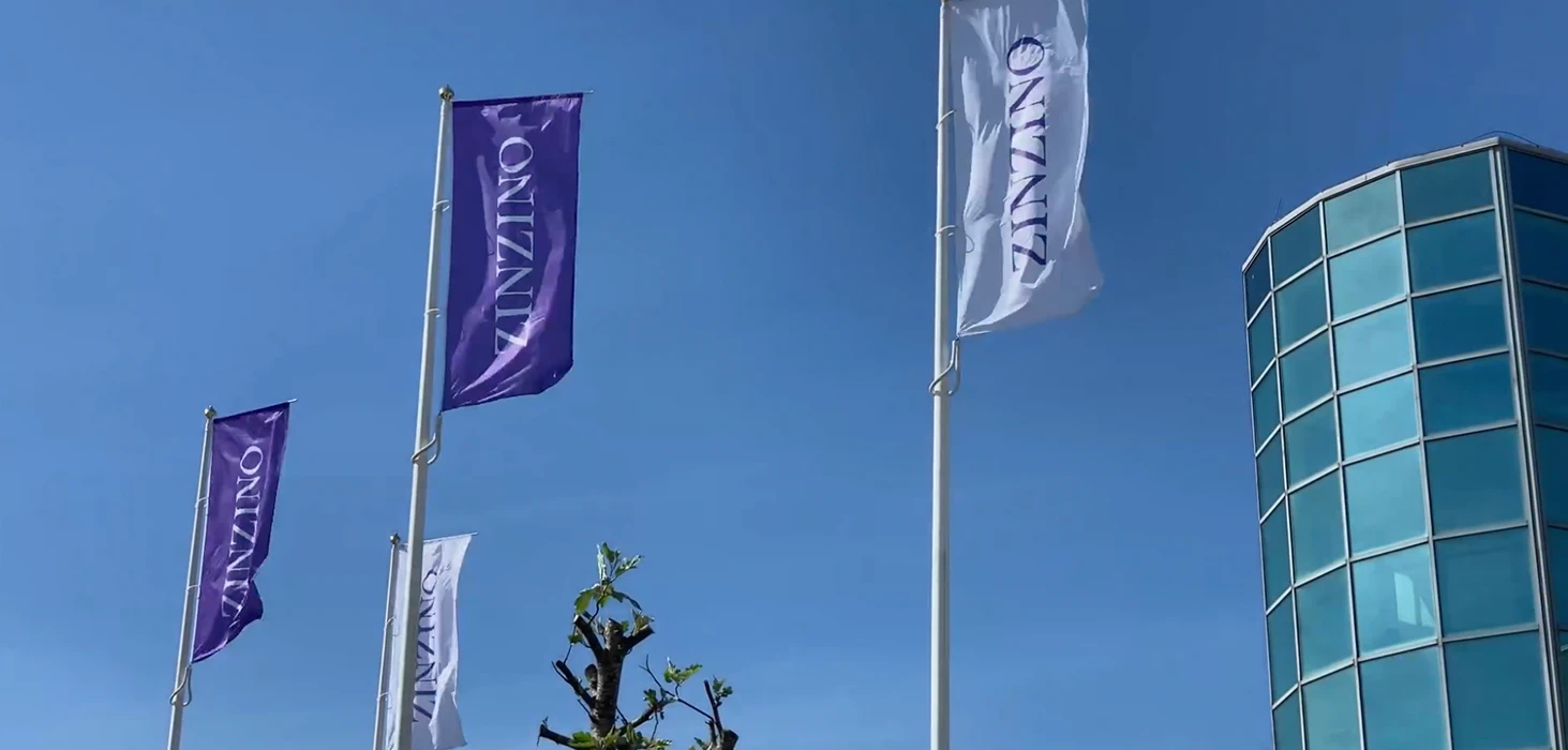 ¿Qué es ZINZINO y cómo funciona? » Análisis 2025