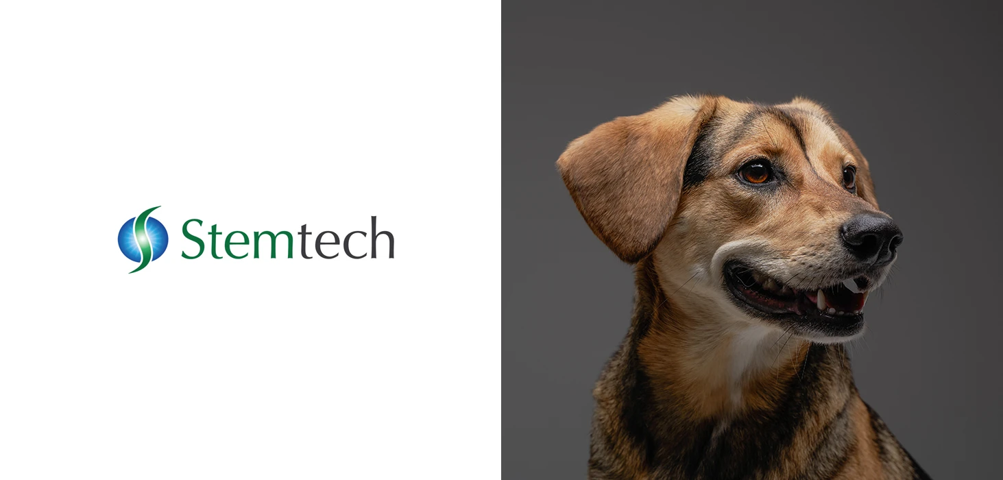 Stemtech anuncia el lanzamiento de productos para mascotas